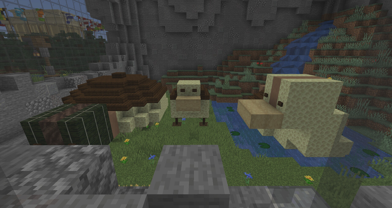 Turtleduck Enclosure Minecraft Map
