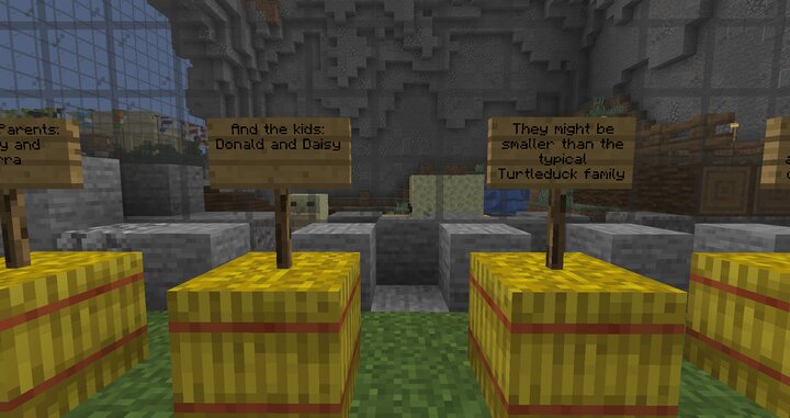 Turtleduck Enclosure Minecraft Map