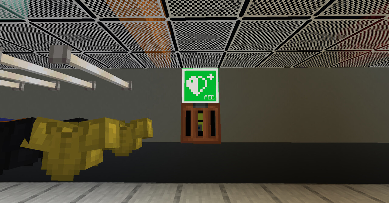 AED Minecraft map [1.16.4] Schematic Minecraft Map
