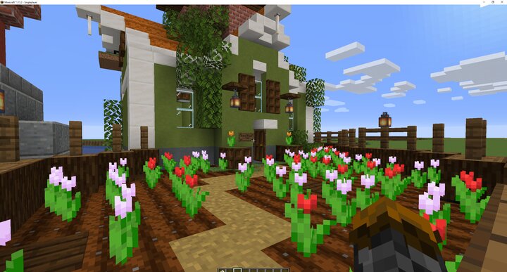 Netherlands style build Minecraft Map