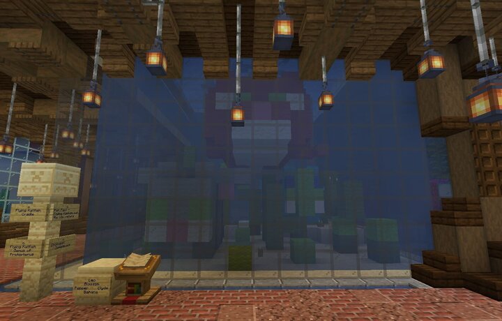 Flying Katfish Cradle Minecraft Map