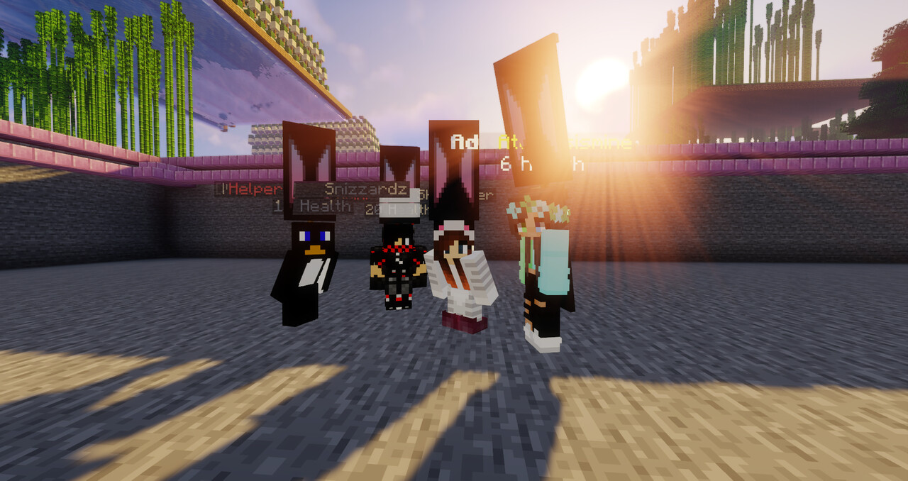 Family Minecraft Map