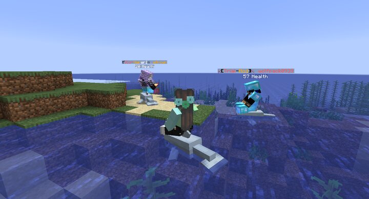 Family Minecraft Map