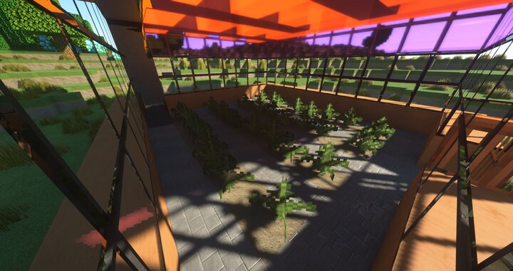 Cannabis plantation Minecraft Map