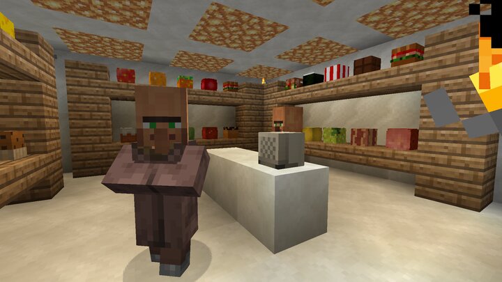 The Village City Minecraft Map