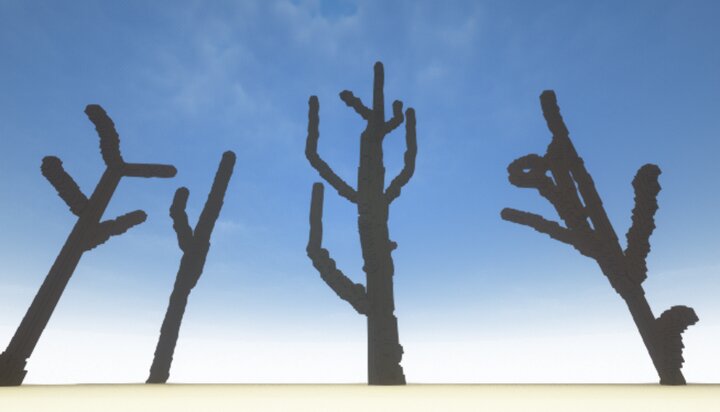 Mega desert Minecraft Map