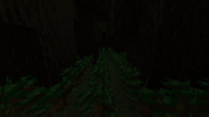 The Forest Minecraft Map