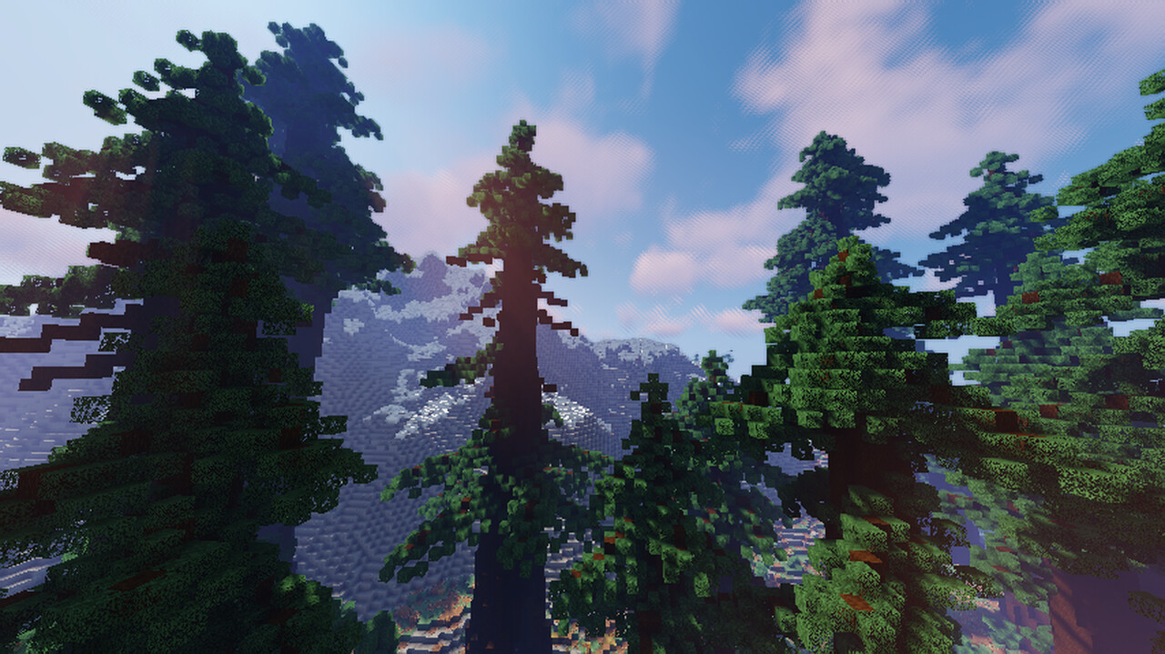 The Sequoia Park 640x640 Sequoia Forest Minecraft Map