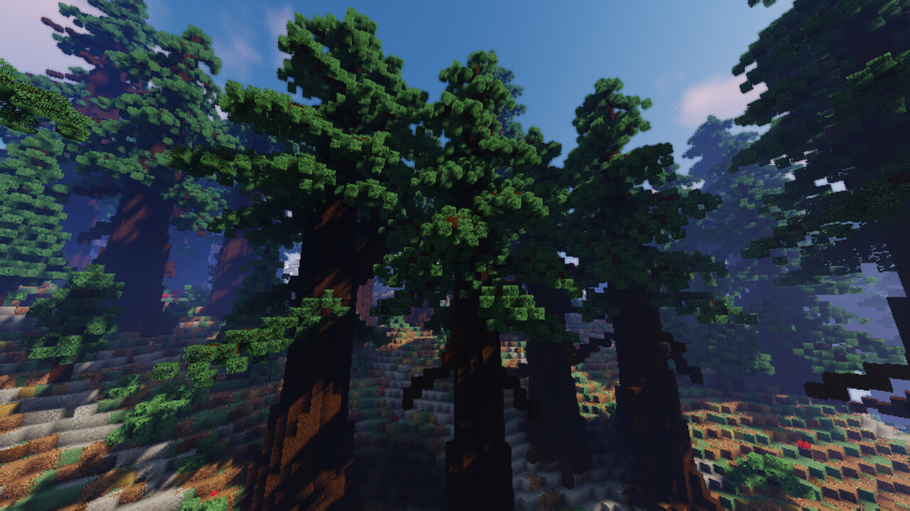 The Sequoia Park 640x640 Sequoia Forest Minecraft Map