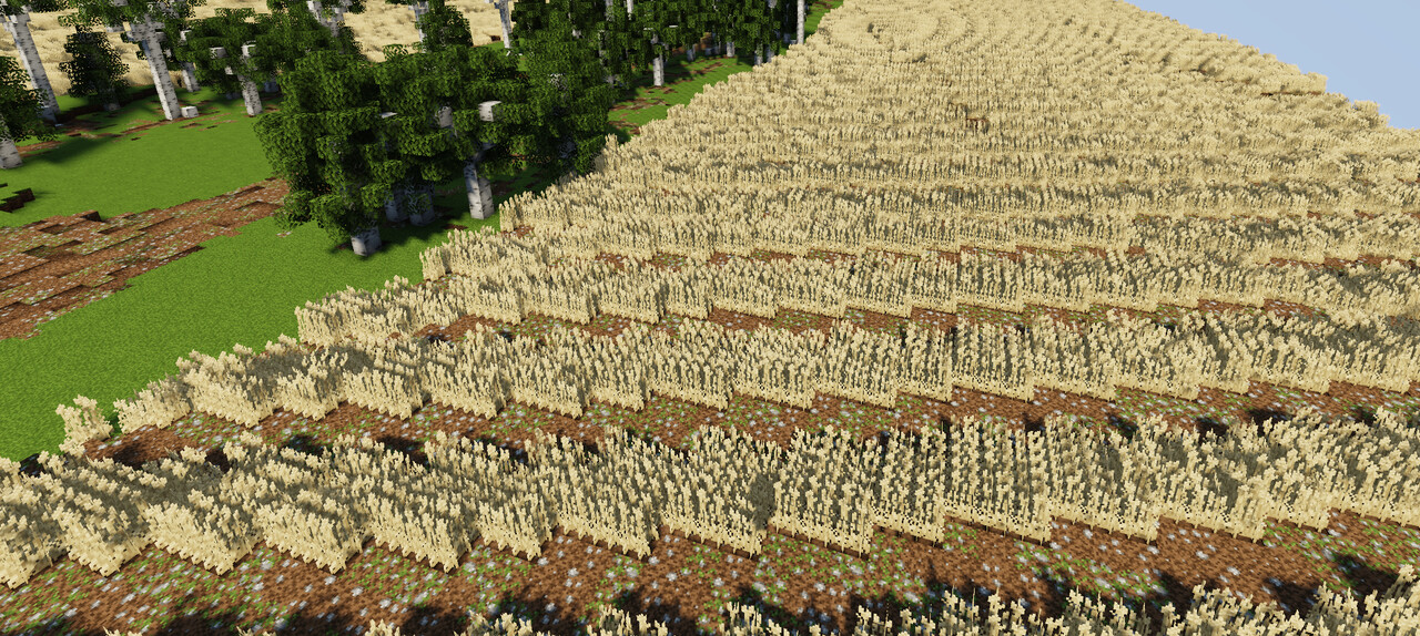 Improved Birch Forest Minecraft Map