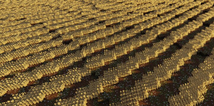 Improved Birch Forest Minecraft Map