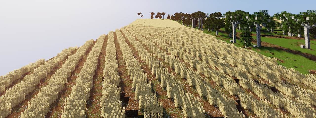 Improved Birch Forest Minecraft Map