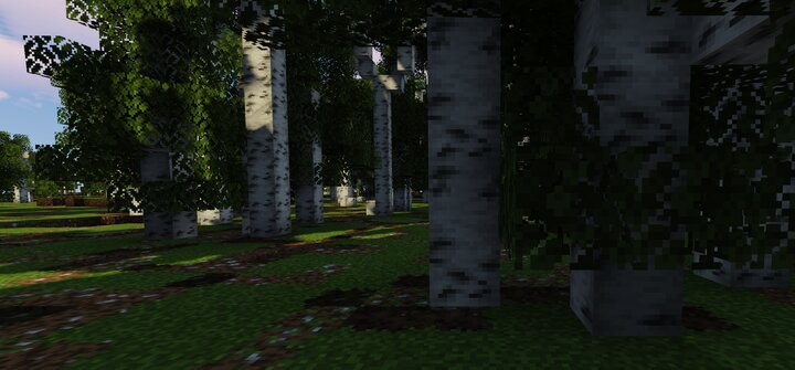 Improved Birch Forest Minecraft Map