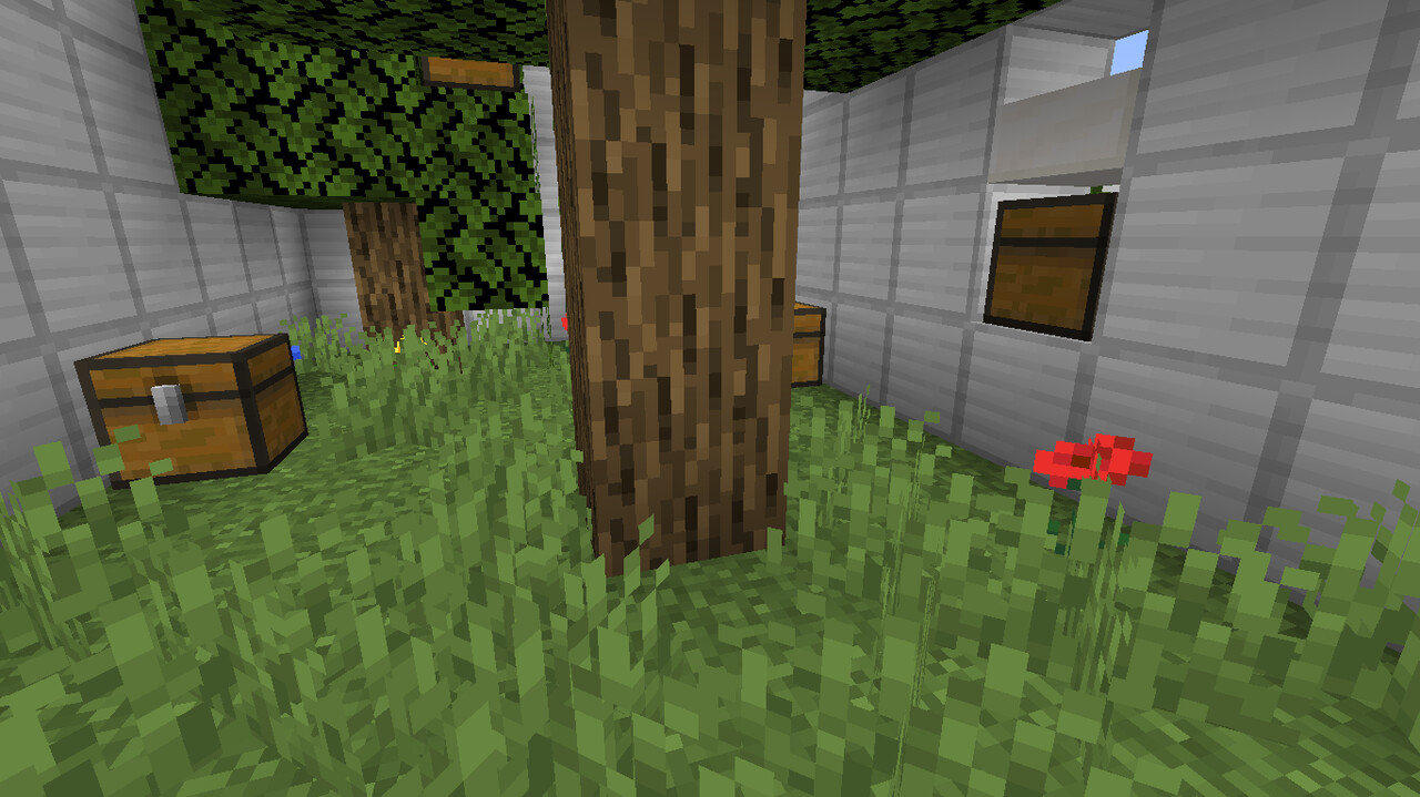 Riddle and question map Minecraft Map