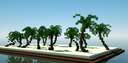 Palm trees Pack | Download Minecraft Map