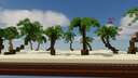 Palm trees Pack | Download Minecraft Map