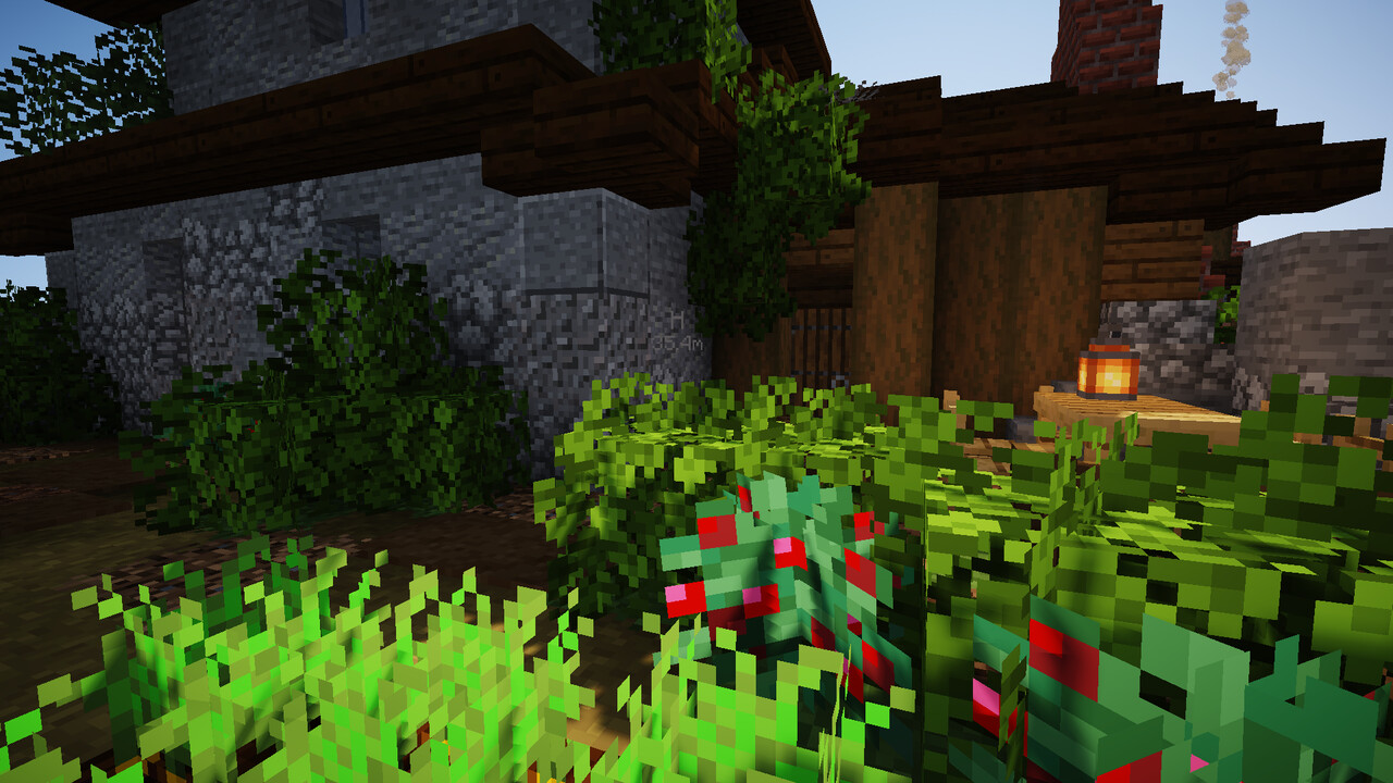 Oldpass Hamlet Minecraft Map