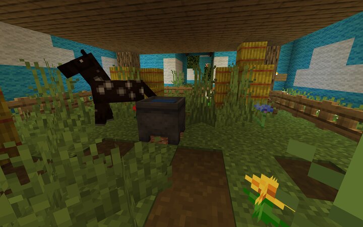 Riding Lessons Minecraft Map