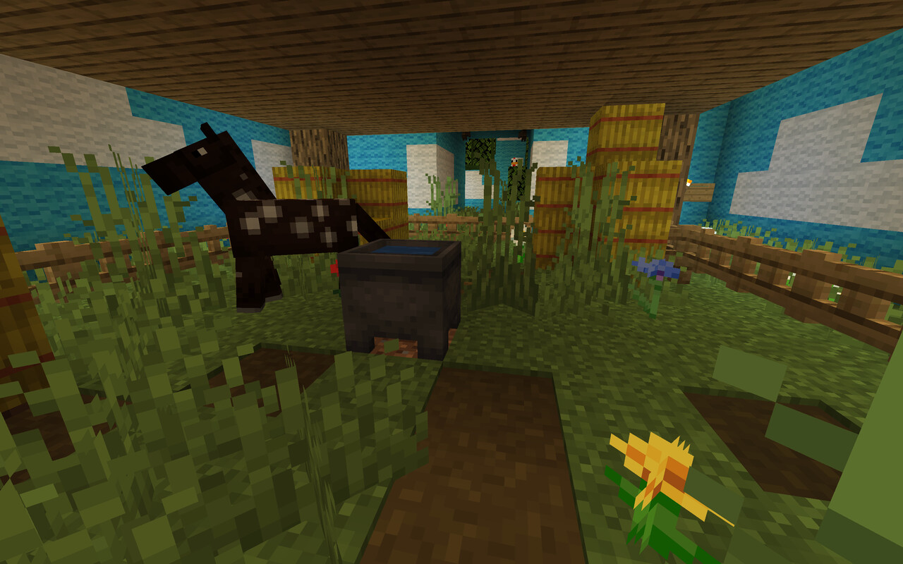 Riding Lessons Minecraft Map