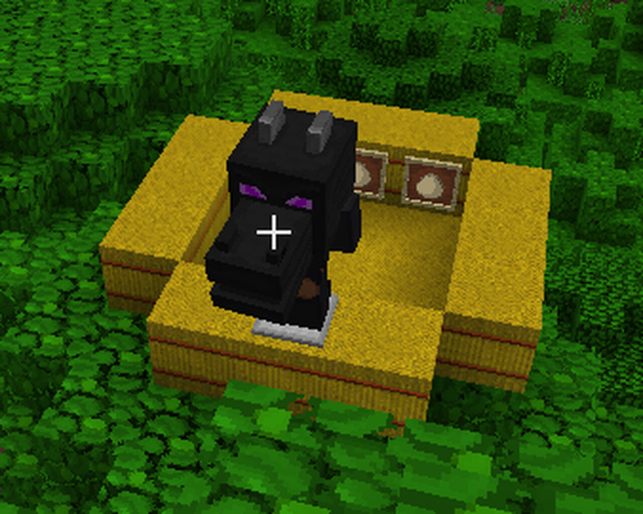 TT & LL Dragon race map Minecraft Map