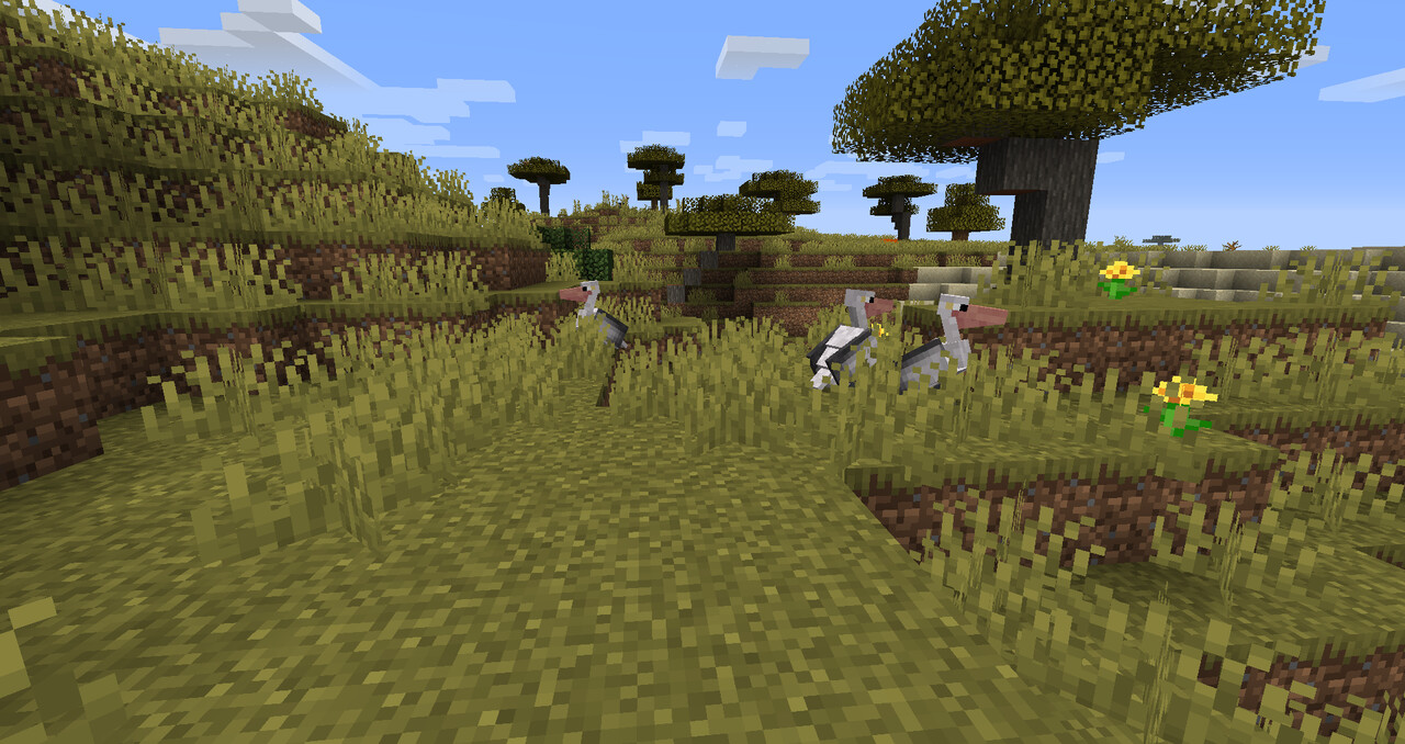 Exotic Birds Mod Minecraft Map