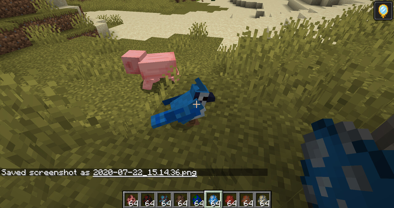 Exotic Birds Mod Minecraft Map