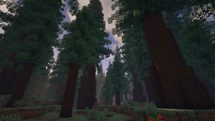 Mystic forest Minecraft Map