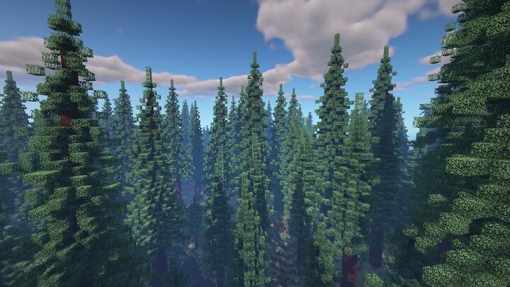 Mystic forest Minecraft Map