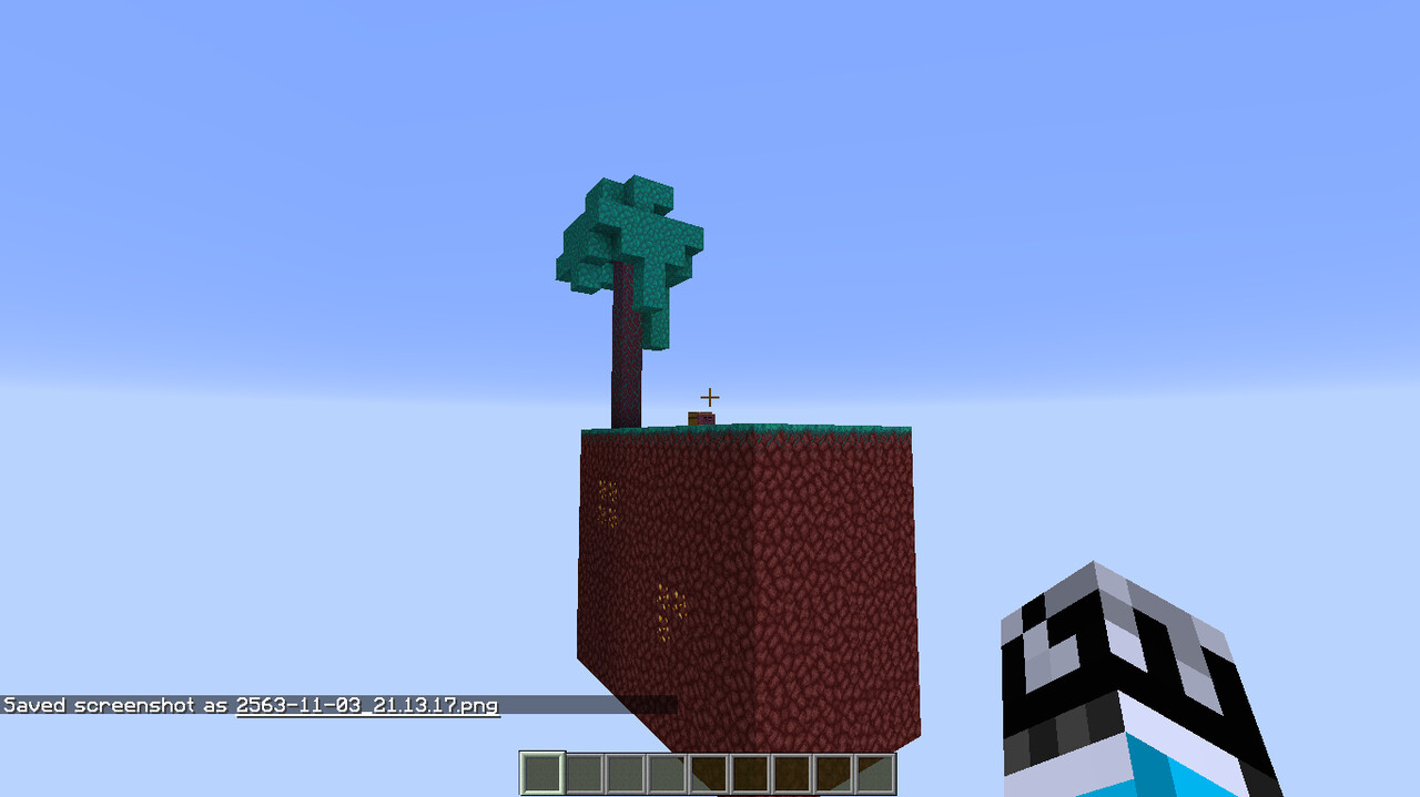 Skyblock Nether version Minecraft Map