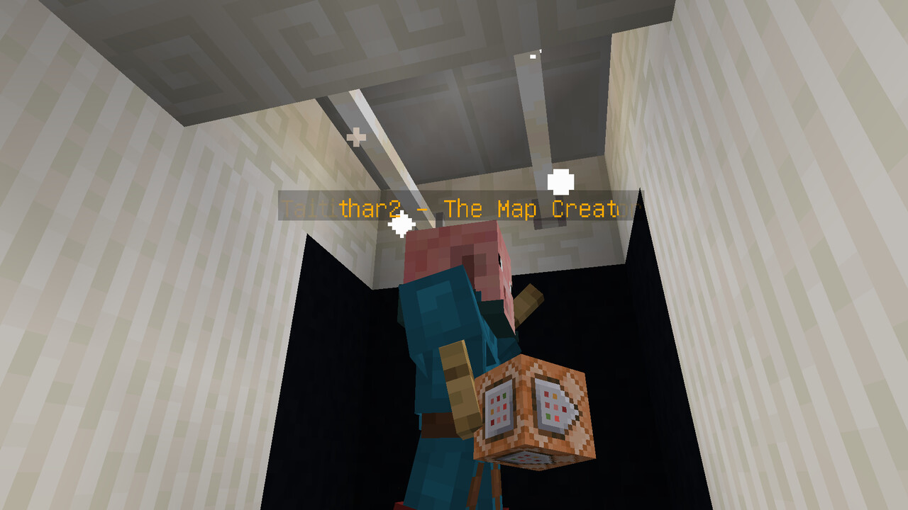 Weirdo House Minecraft Map