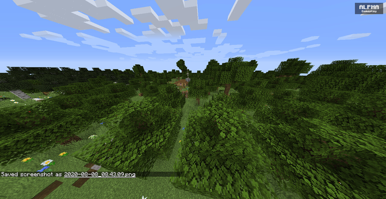 BlockFront Polish Village Minecraft Map