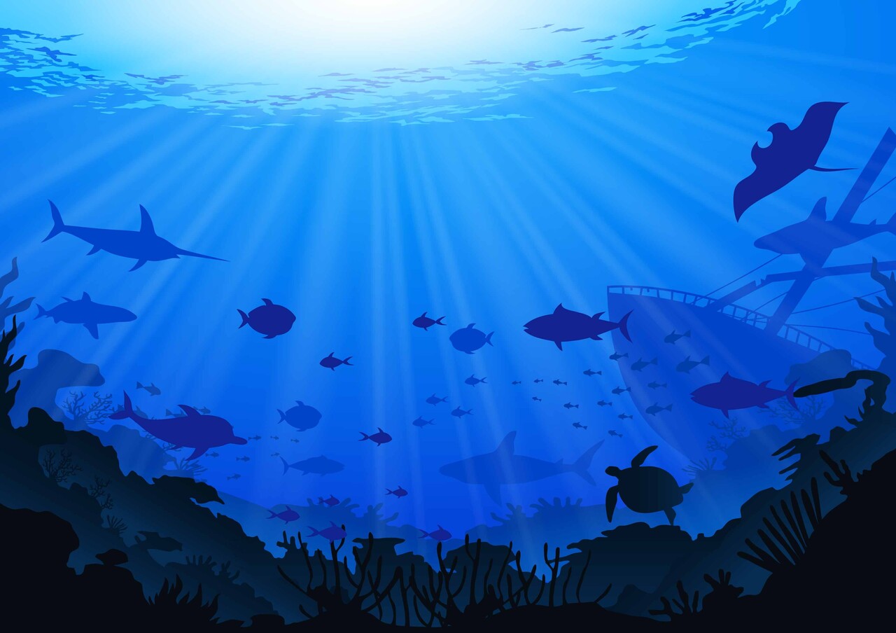 🌊Ocean Survival Base🌊 Minecraft Map