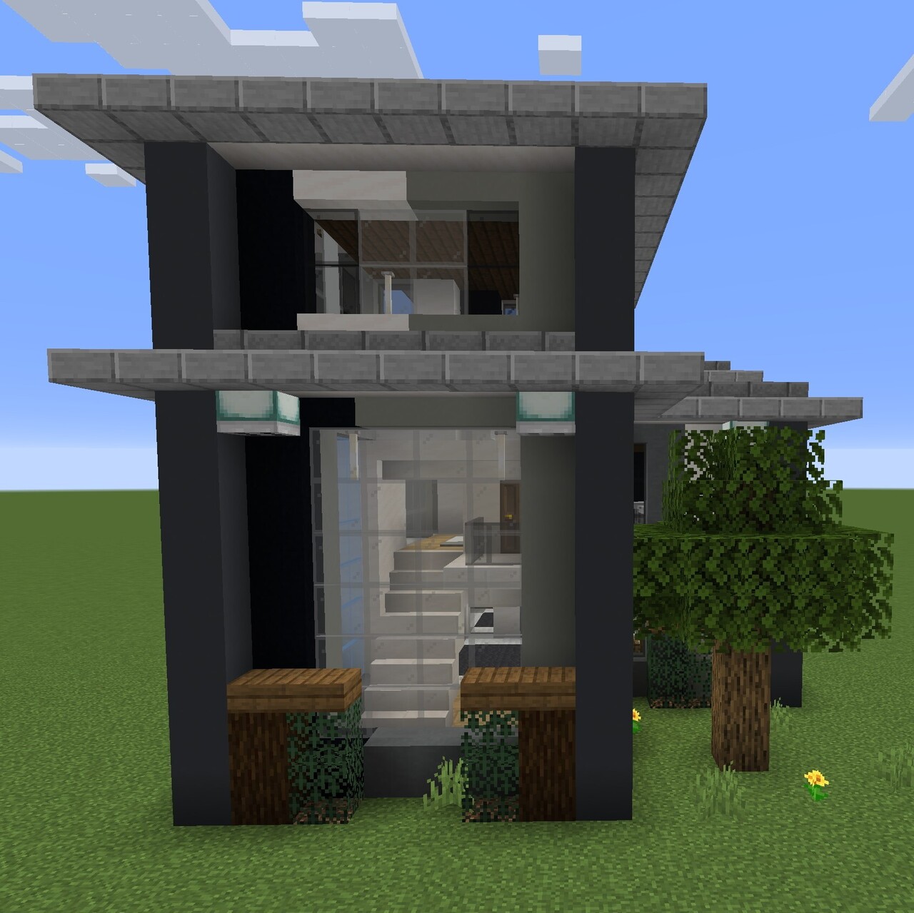 2x1 House Minecraft Map