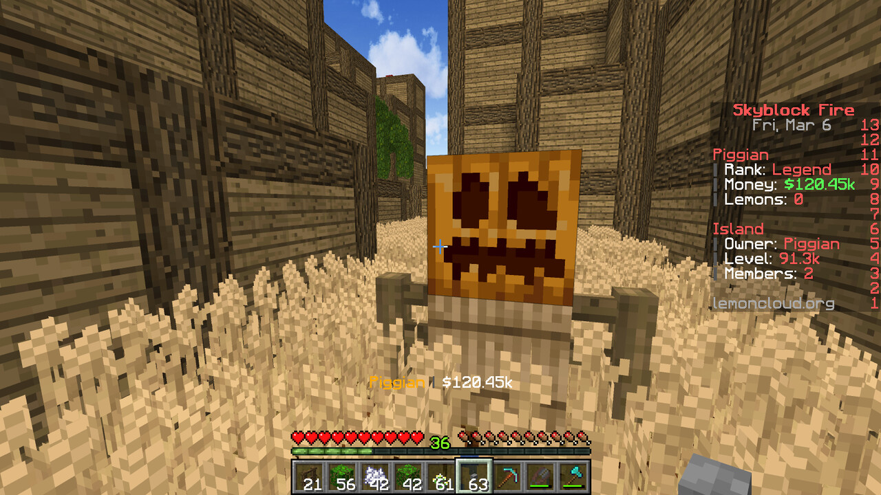 My 5x5 Chunk Island Minecraft Map