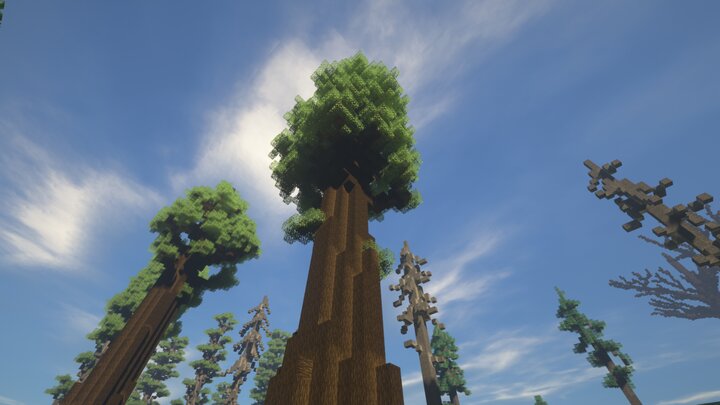 [EPIC TREES] Huge trees pack / repository Minecraft Map