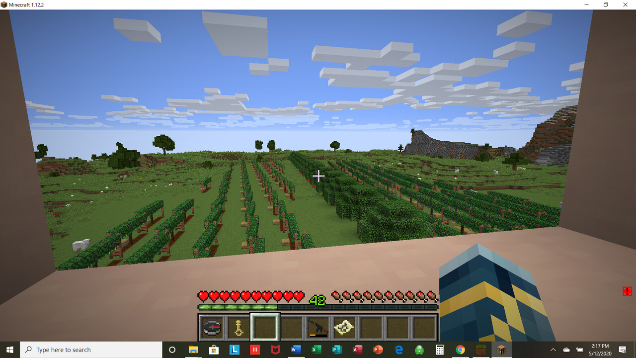 An Actual Functioning Vineyard Minecraft Map