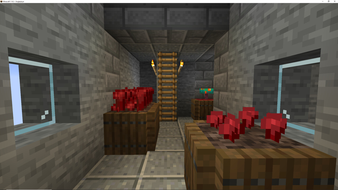 Medieval Alchemy Shop Minecraft Map