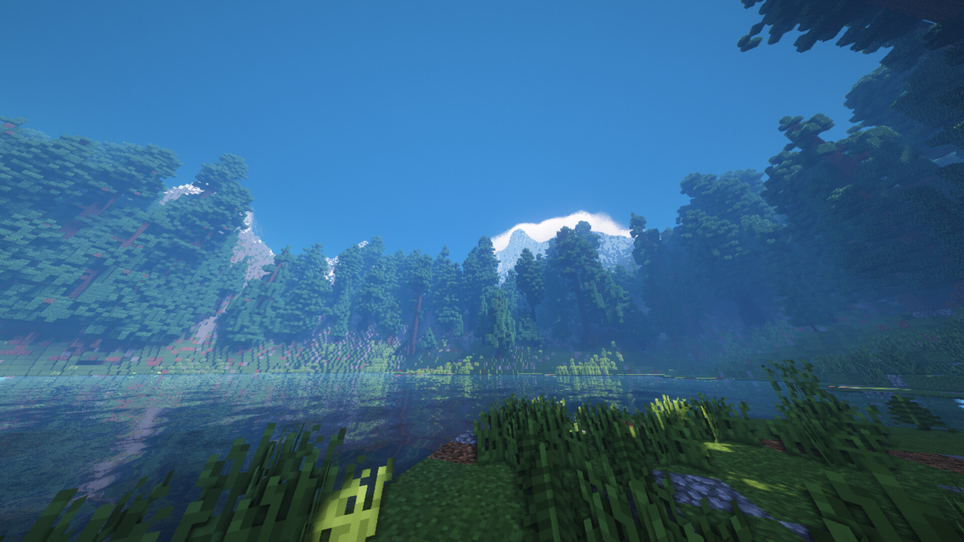 a island forest Minecraft Map