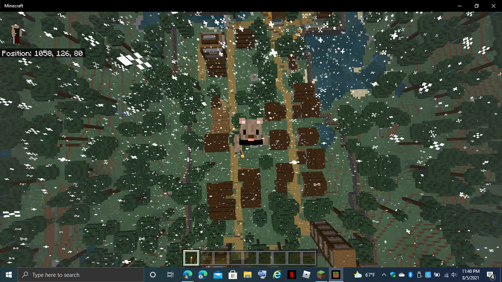 Bedrock SMP Server Minecraft Map