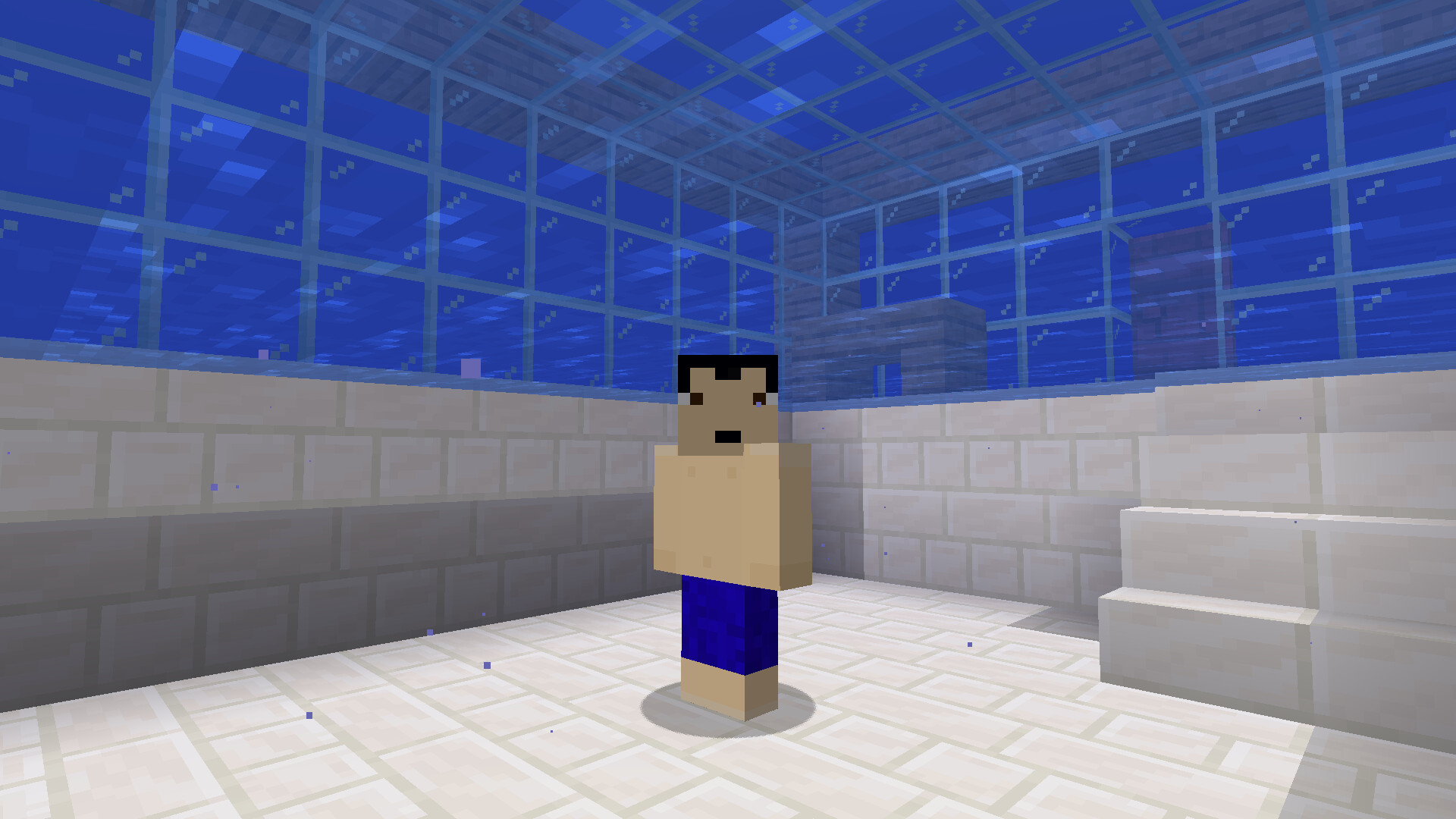 Swimming Pool Minecraft Map