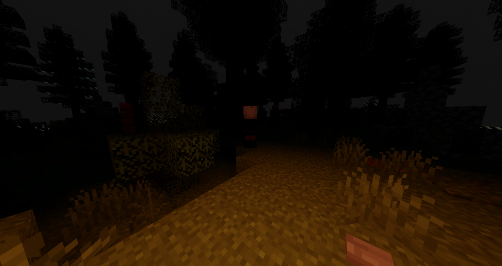 Lost In The Forest Minecraft Map