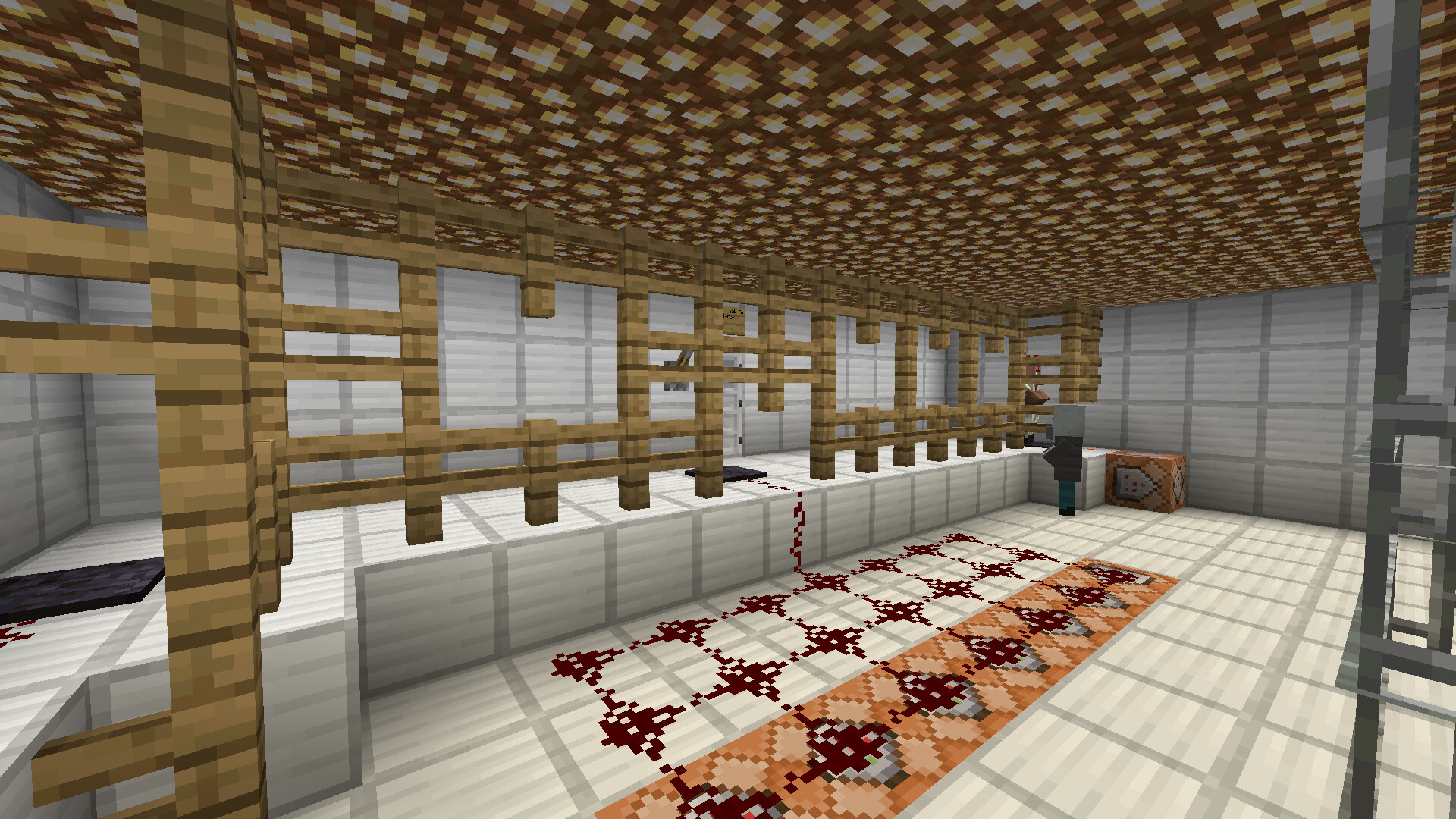 The Canceled Flight Minecraft Map