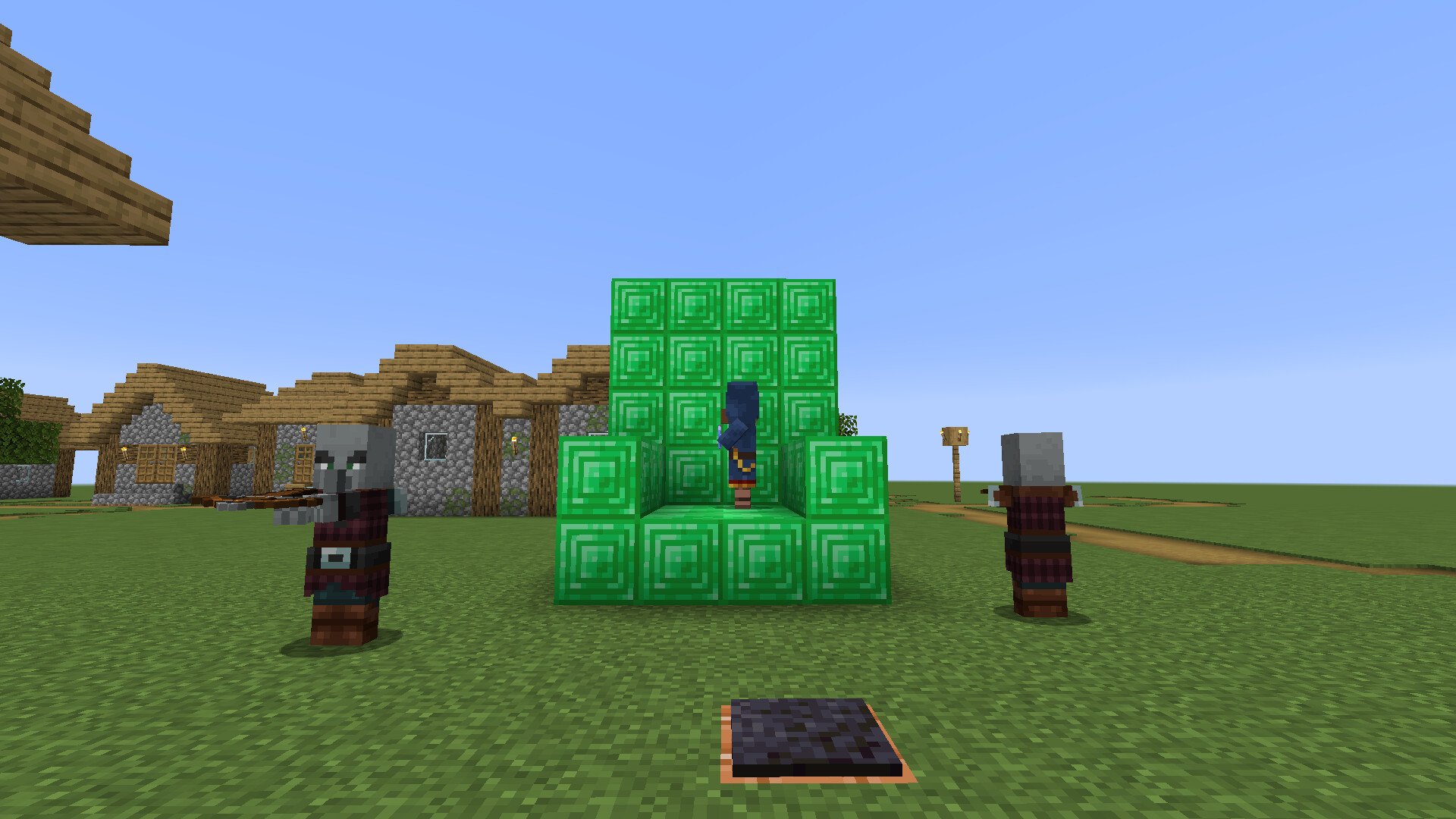 The Canceled Flight Minecraft Map