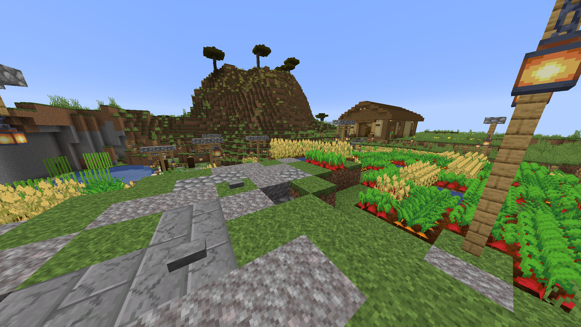 Farm house 21w07a snapshot 1.17+ java 2-17-21 Minecraft Map