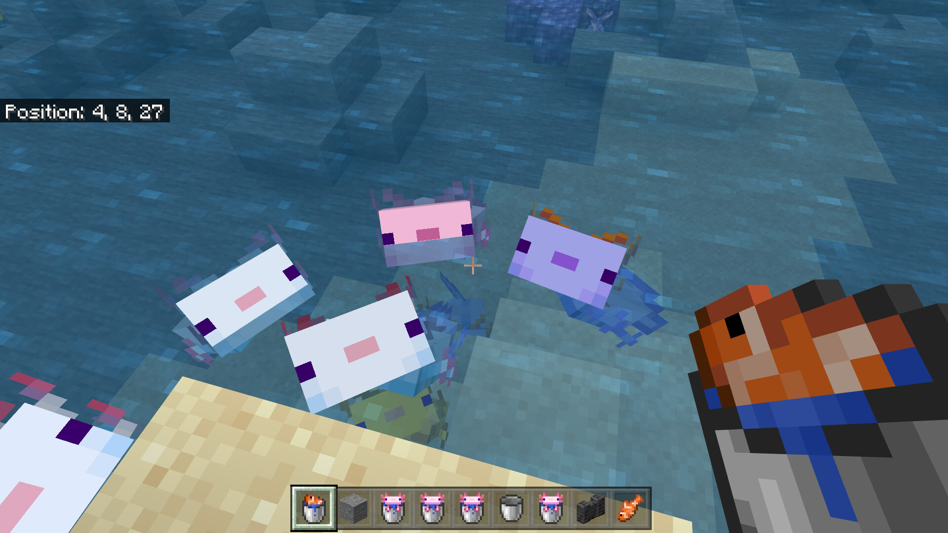 Axolotl land Minecraft Map