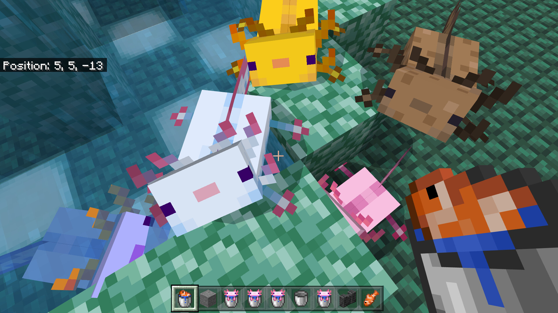 Axolotl land Minecraft Map