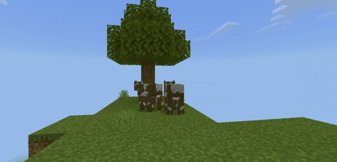 Biome Sky Block Minecraft Map