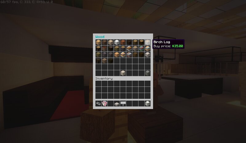 Minecity Roleplay Setup Minecraft Map