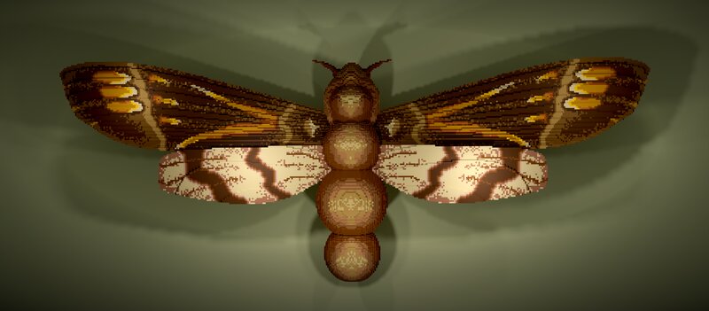 Moth Minecraft Map