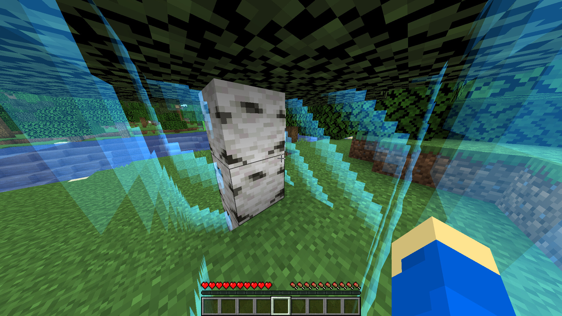 Level=Border Challenge Map Download (Level Border) Minecraft Map